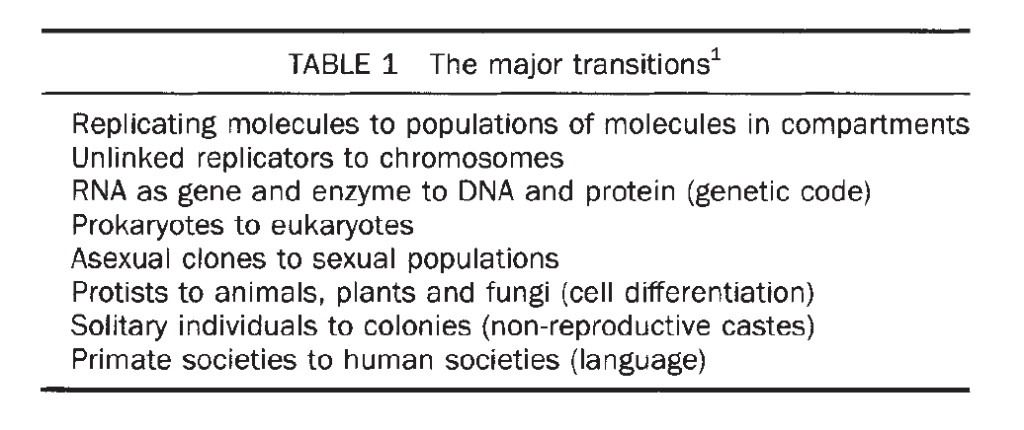 Our future as social organelles – Mind the Post