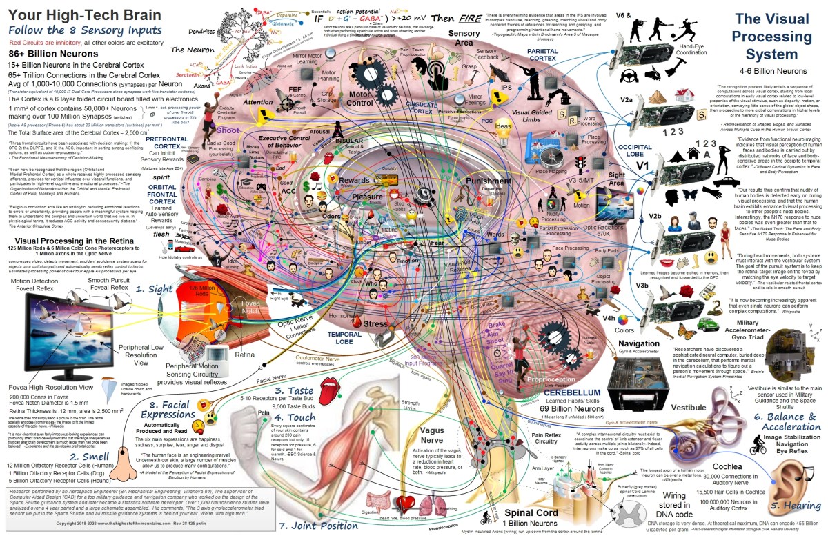 Your High Tech Brain – Mind the Post