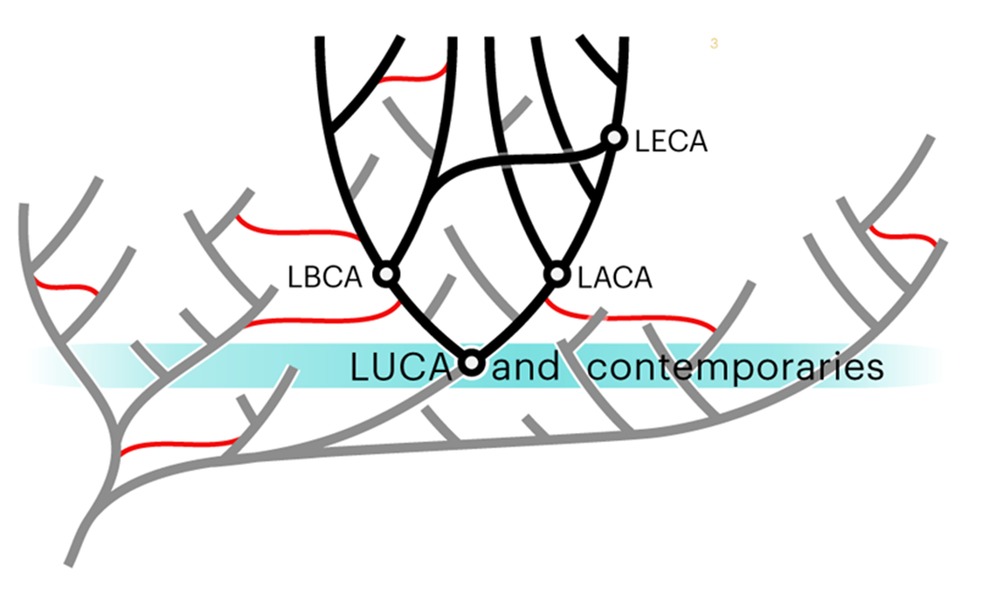 How old is LUCA? – Mind the Post